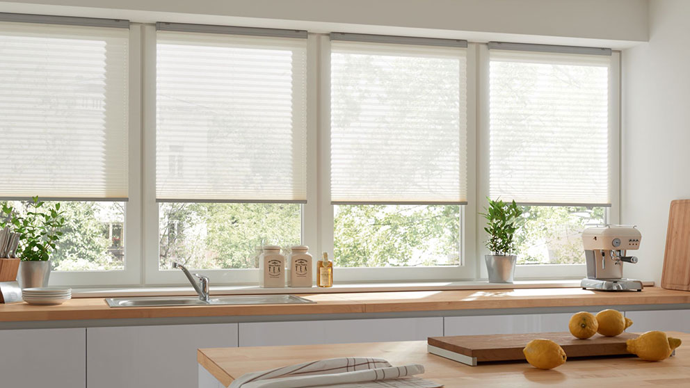 WAREMA Innenbeschattung | Rolladen Nowak GbR, Langenbach